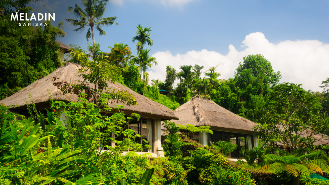 Jungle Theme Restaurants in Rajasthan for Wild Dining Experience